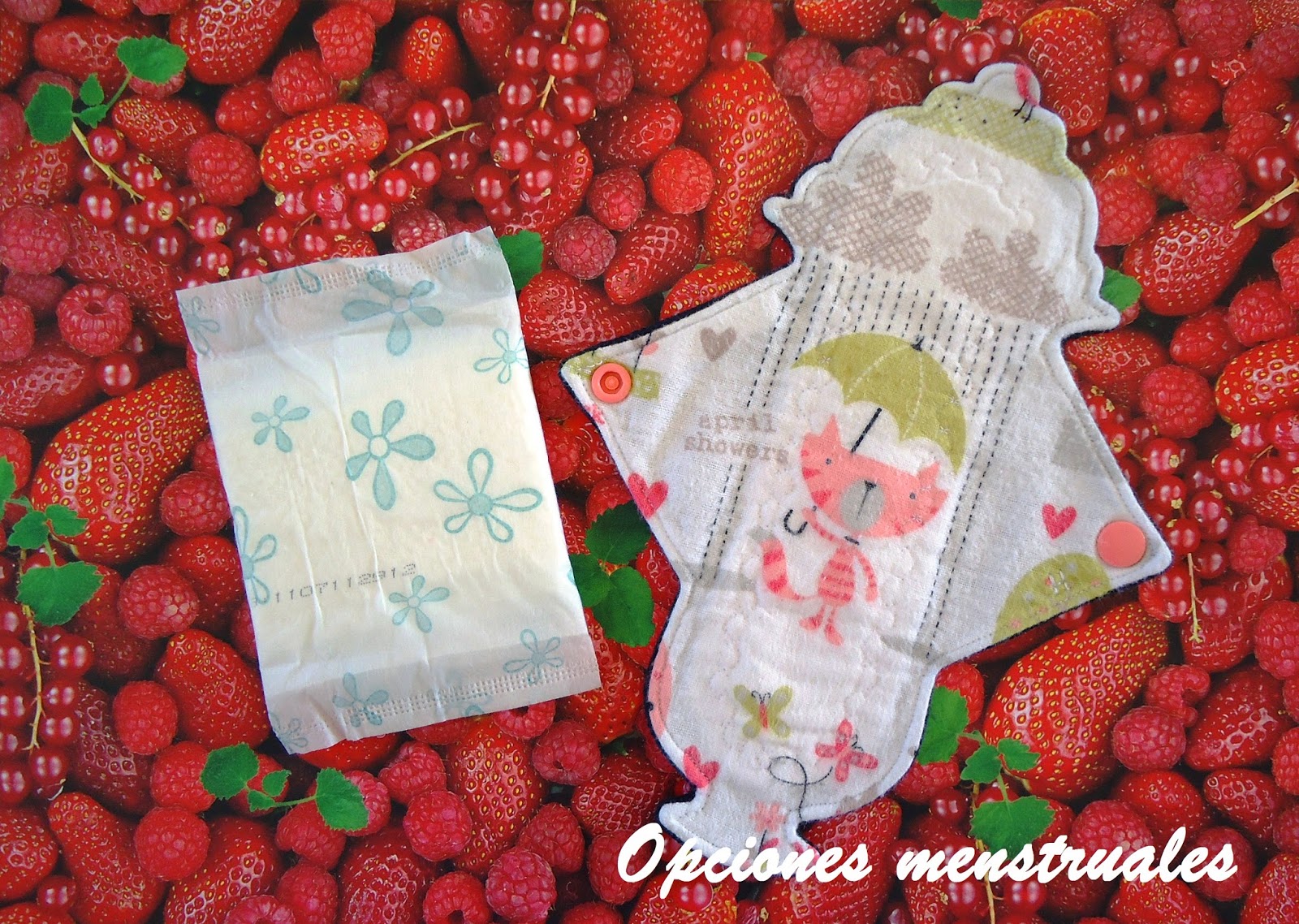 Opciones menstruales: ¿Qué ha cambiado desde que uso productos ...