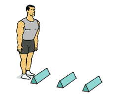 Components Of Fitness