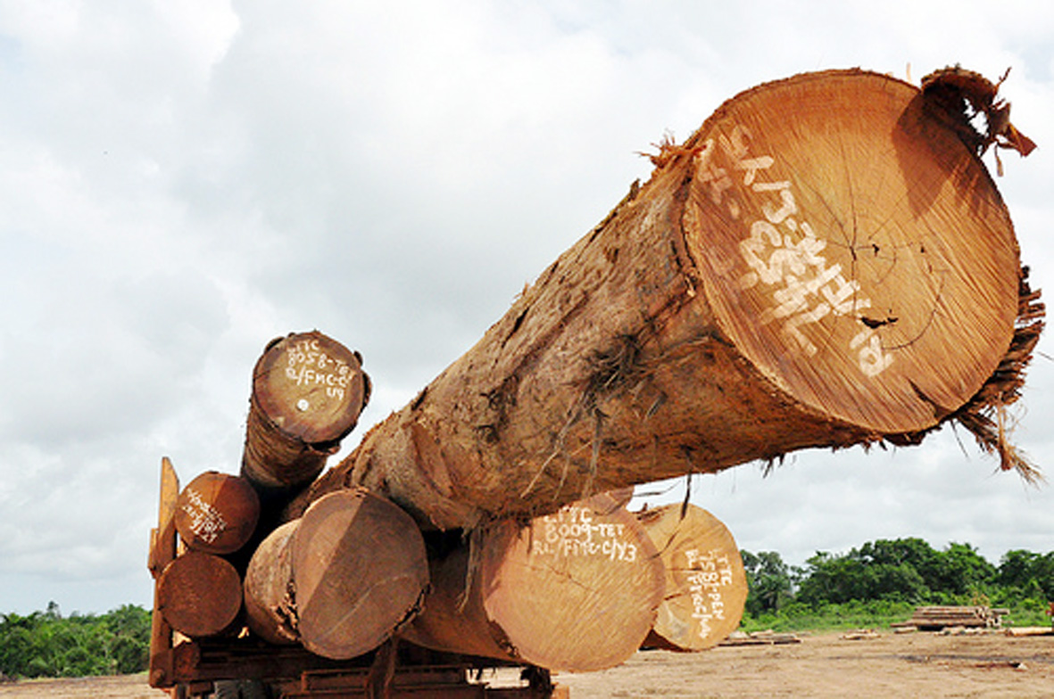 Nabie's Blog: Europe’s New Timber Law Threatened; by 3 Quarters of ...