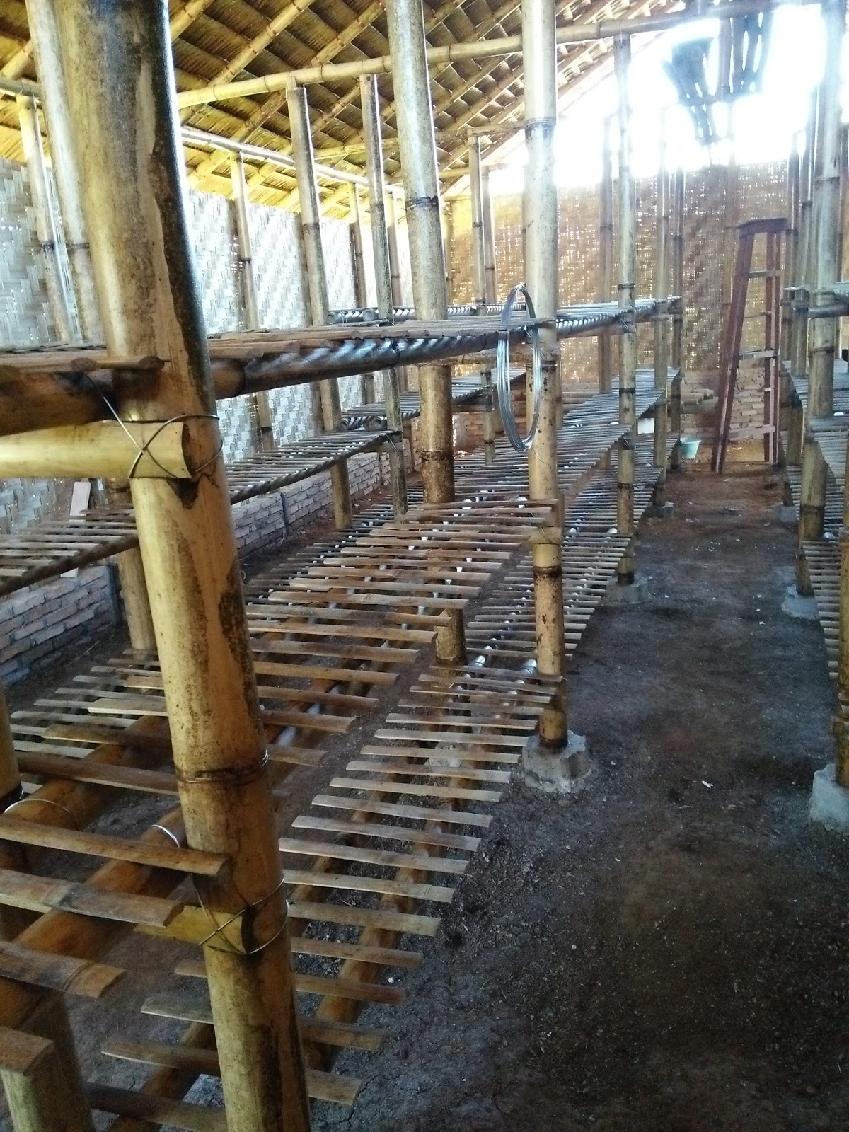 JAMUR TIRAM MEDAN : Model rak jamur tiram