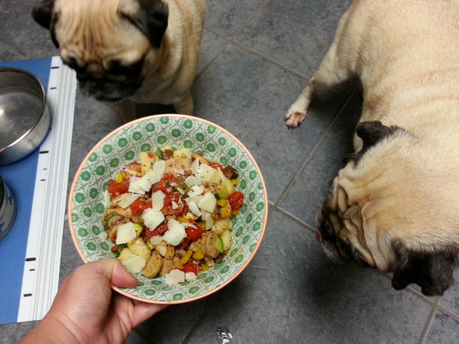 Grubbin' Pugs