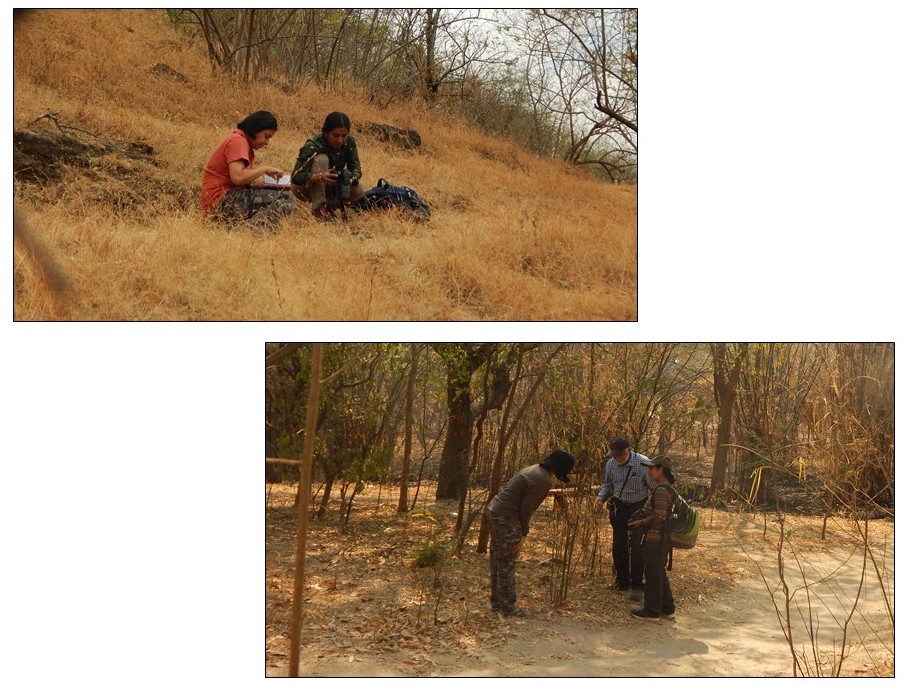 FORREST NGO: Bhamburda Forest Garden