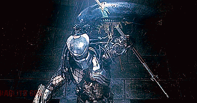 Alien-vs-Predator Gif - MaxLusec