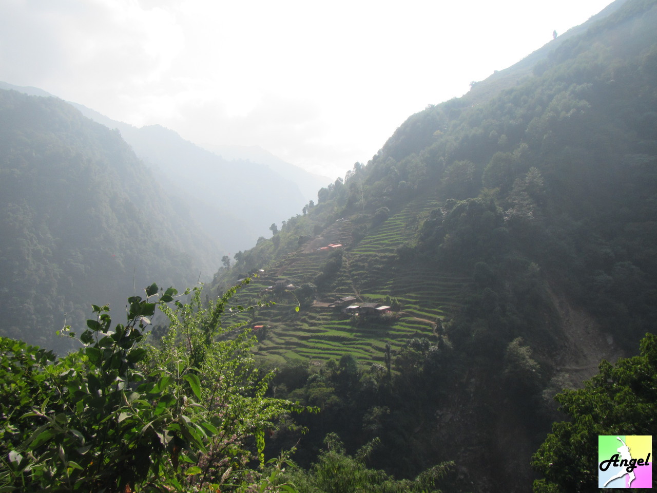 Mardi Himal Trek 第4天: Landruk - Jhinu - Chhomrong | [一細舊cm出走記]