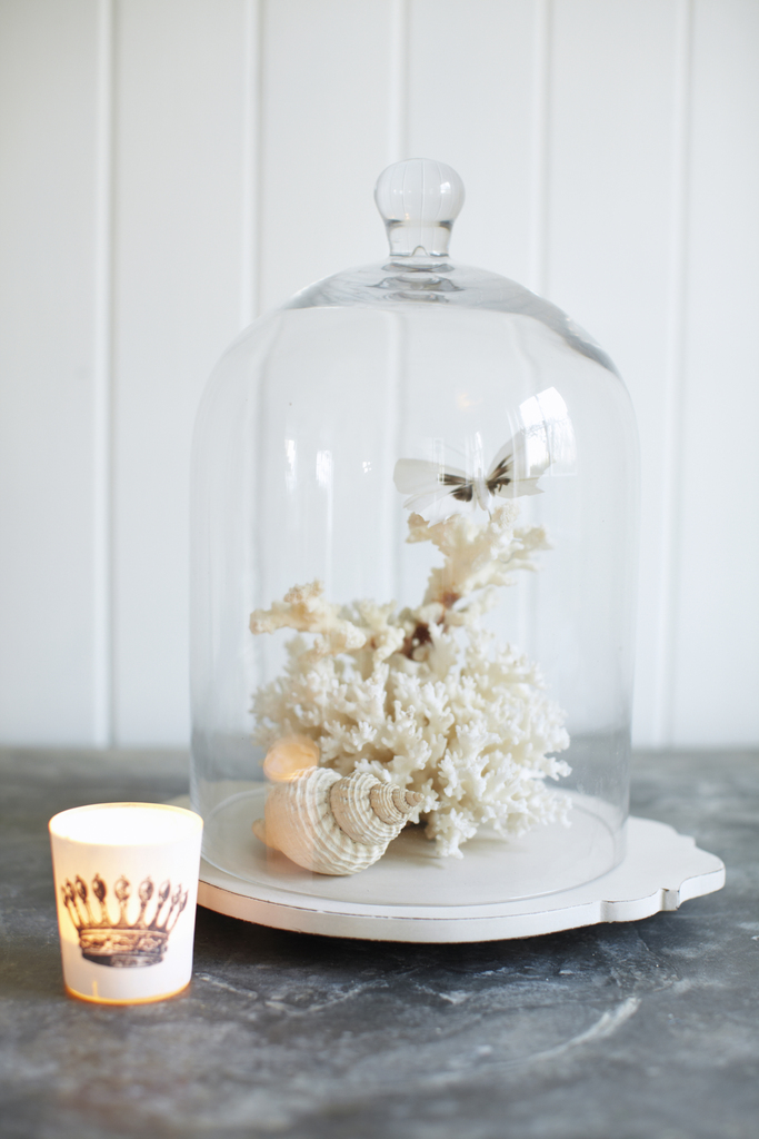 Domythic Bliss: Bell Jars and Belle Displays