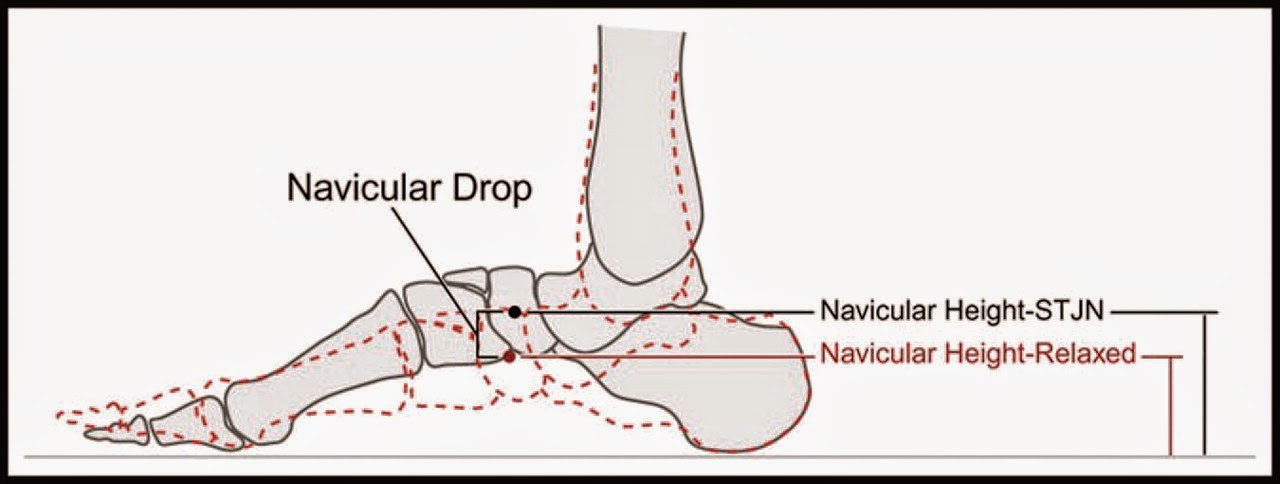 Valoración Funcional: Pie-Tobillo