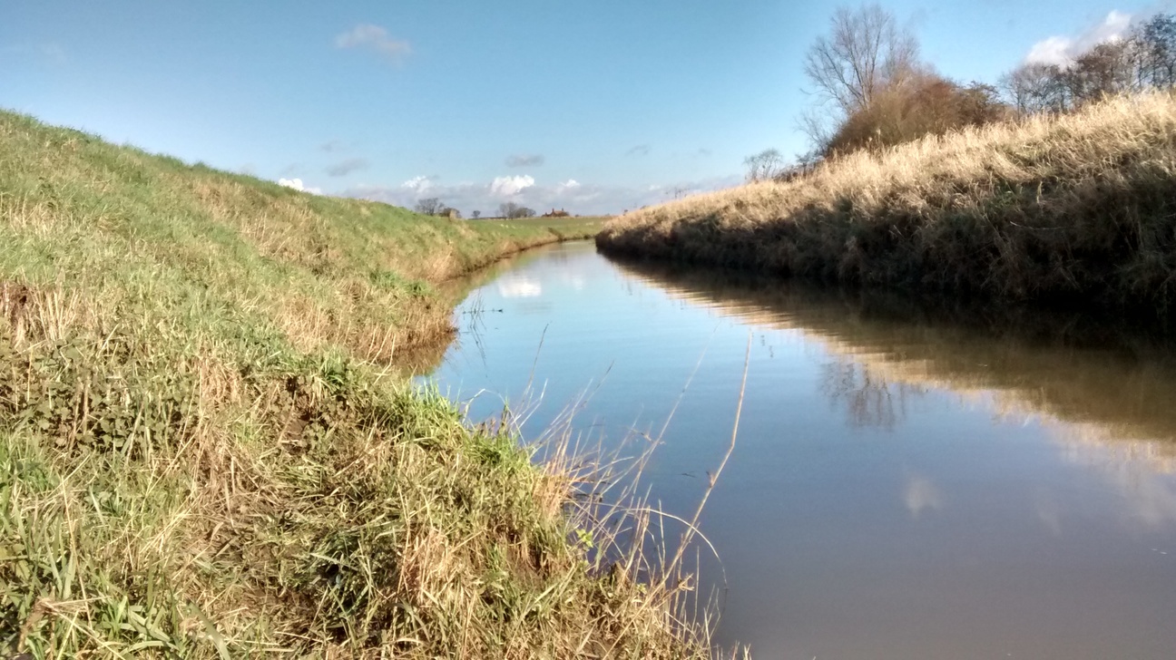 Jorvik Angler: It Seemed Like a Good Idea