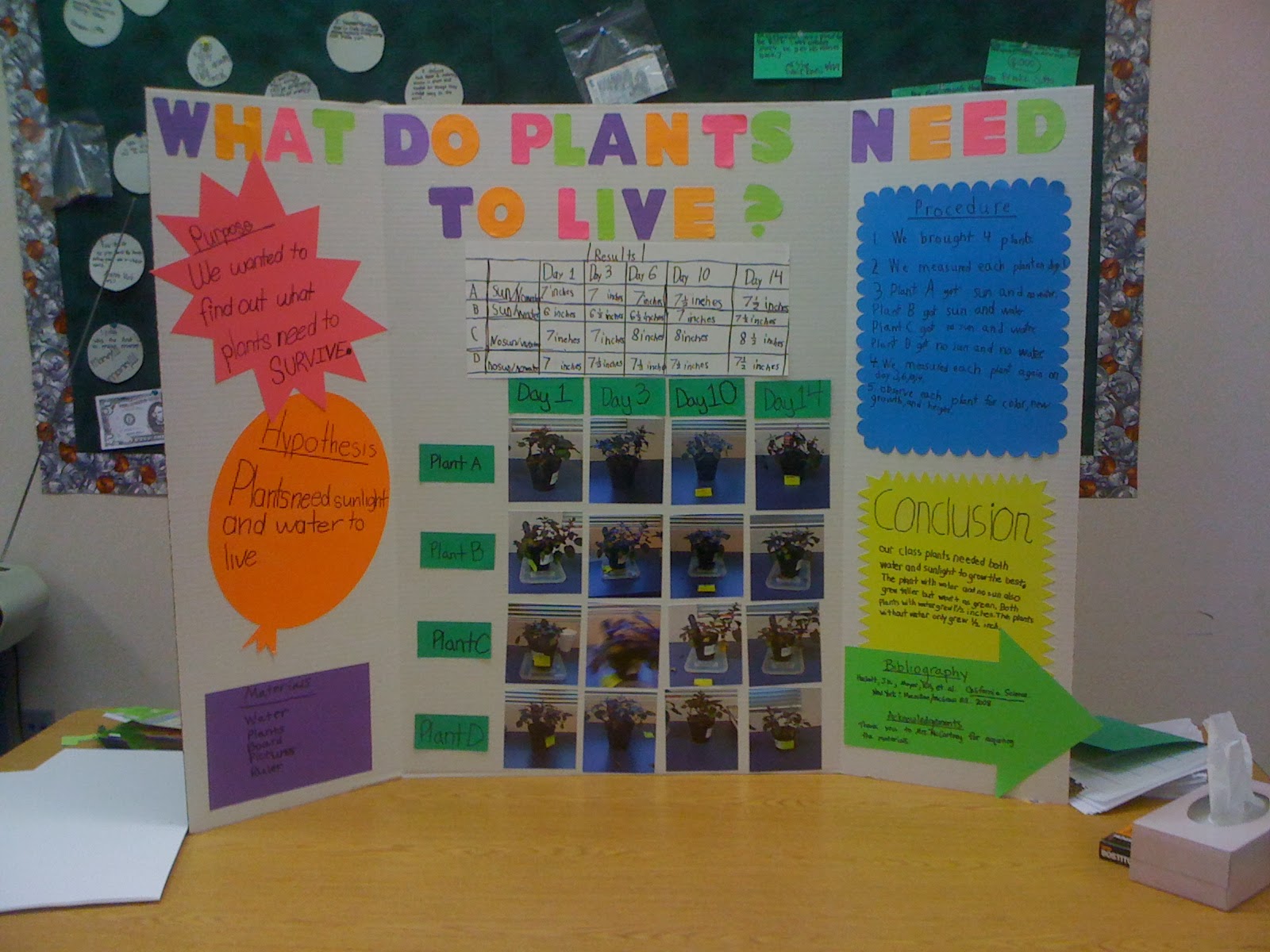 5th Grade is Amazing!!!!: FEBRUARY 17-21