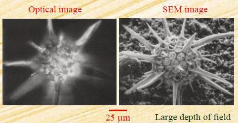 Tentang Alat Uji -- SEM (Scanning Electron Microscopy)