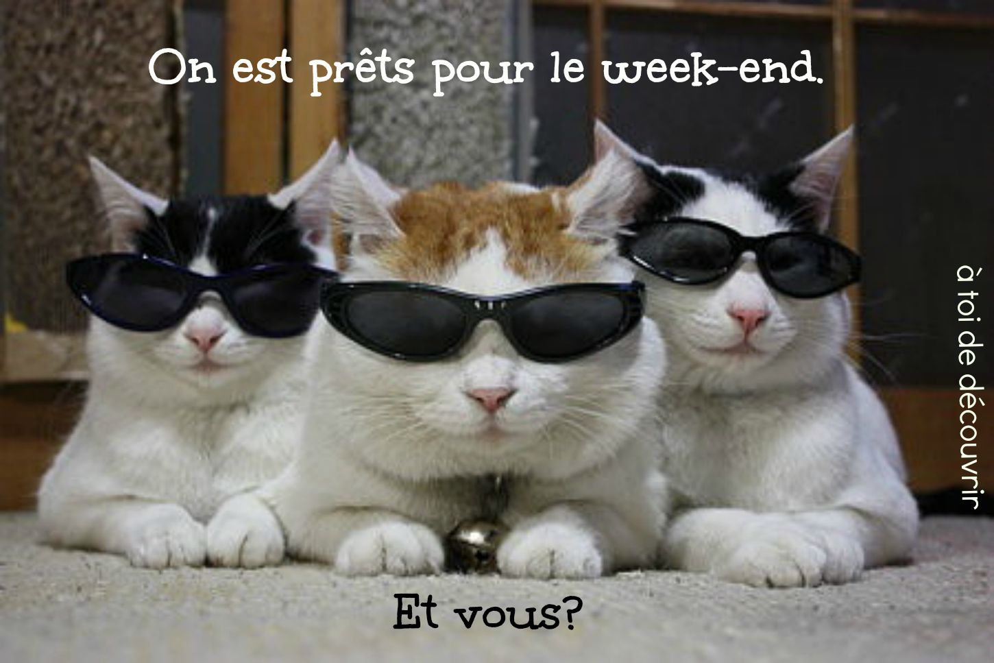 On vous souhaite un excellent week-end!