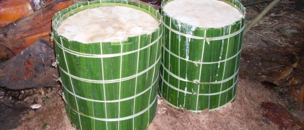 Wisata PapuaQ: Sagu " Makanan Khas" - Papua