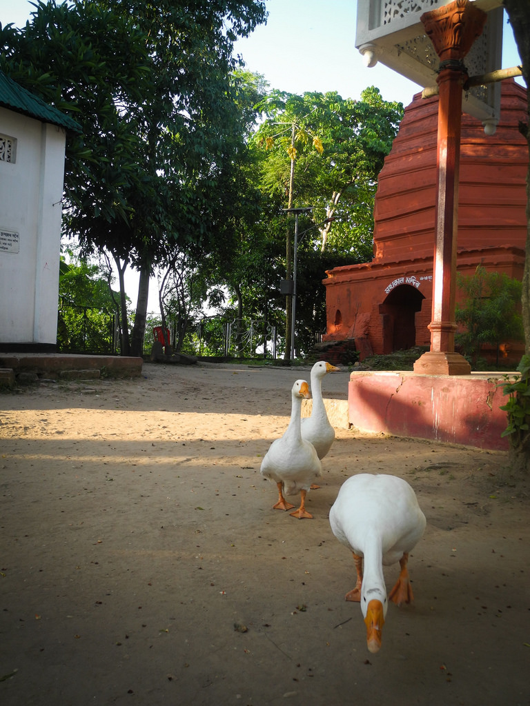 Sights and Insights: About Umananda temple, Guwahati
