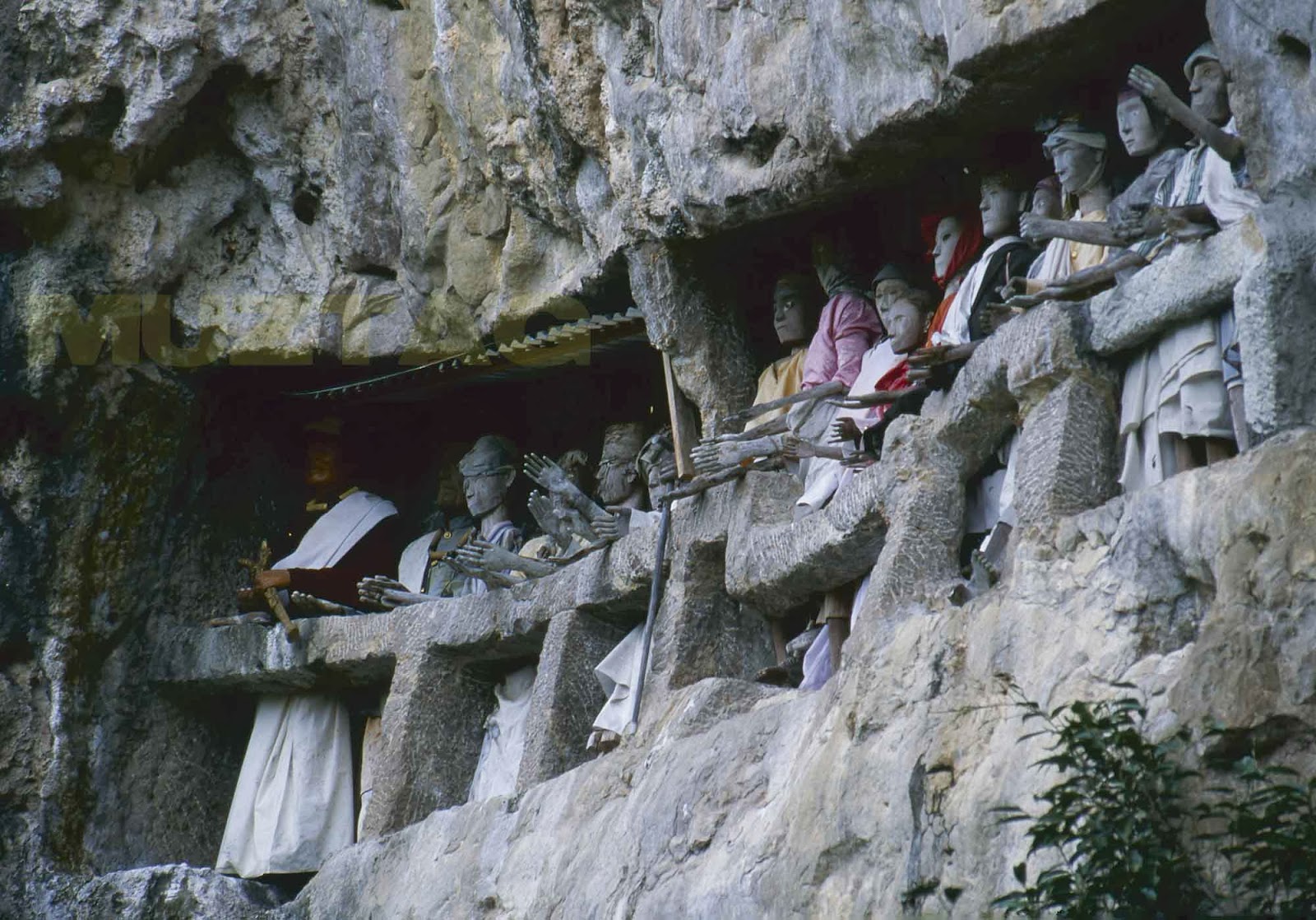 ACHAMAN GUAÑOC: LAS TUMBAS DE LOS INDIOS TORAJA