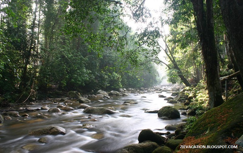 Nazifa's Travel Agency: DESTINATION 6 : Sedim River, Kulim, Kedah