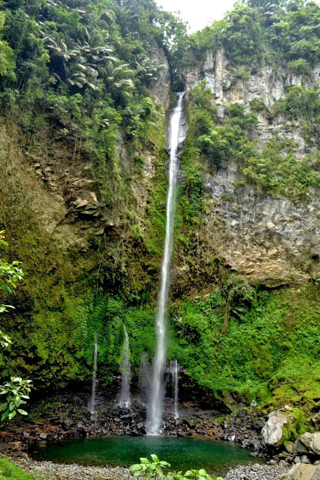 Tudaya Falls - Alchetron, The Free Social Encyclopedia