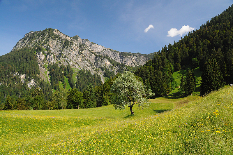 æquilibrium: Pajiști și creste alpine