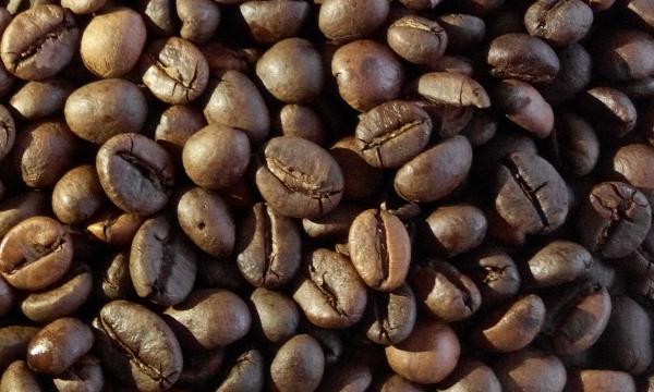 Pecinta Kopi: Kopi Robusta - Sejarah, Deskripsi dan Perkembangannya