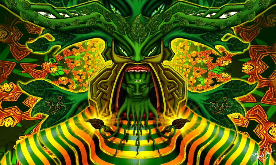 ESTAS DIVINIDADES PSIQUEMOLAN: SALVIA - DIVINORUM . " LA HIERBA DE LOS ...