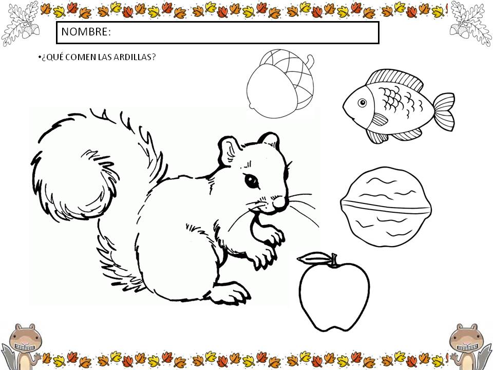 Sita Juver: UNIDAD ARDILLA MIEDOSA.