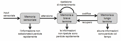 Esercizi di dubbio: Ricordare a memoria, ma saper dimenticare
