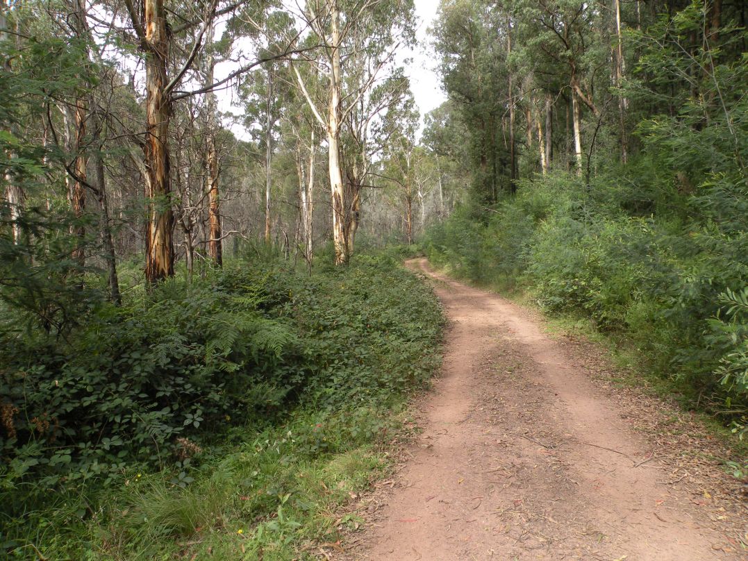 Trails and Tracks: Trip Report: Mt Clear Traverse