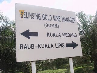Geoenvironmental research group GERG: Selinsing Gold Mine