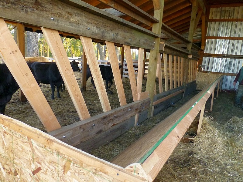 Rural Revolution: Building feed boxes