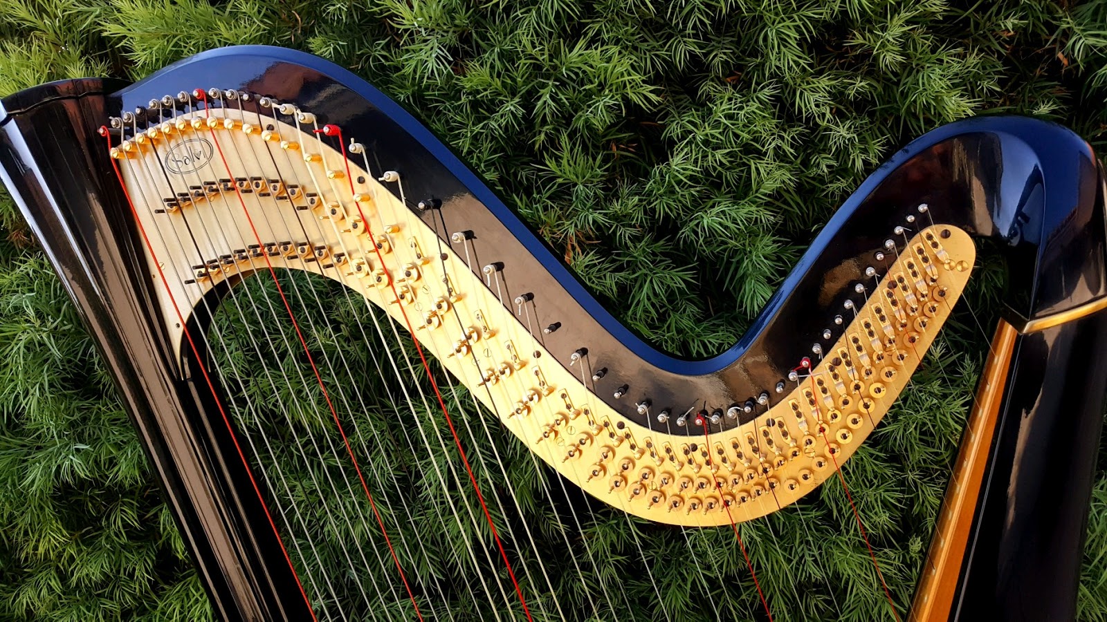 HARP IN LA HARP INFO #2: SALVI AURORA CG (47) PEDAL HARP #7548