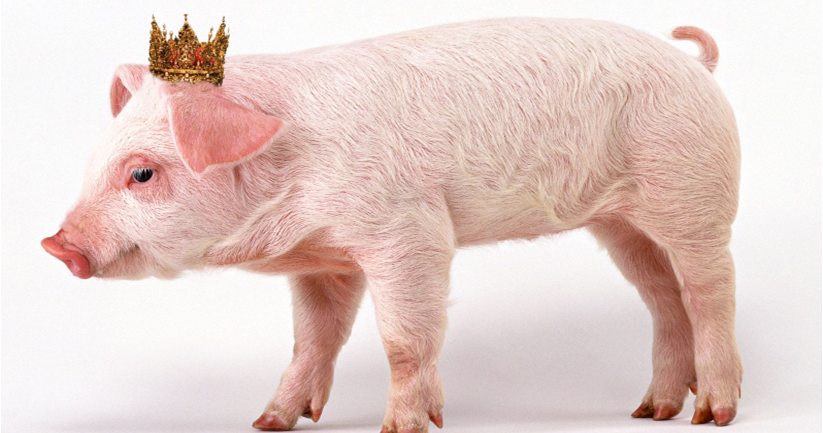 Vinalhaven High School English: "The Pig King," the Italian "Beauty and ...