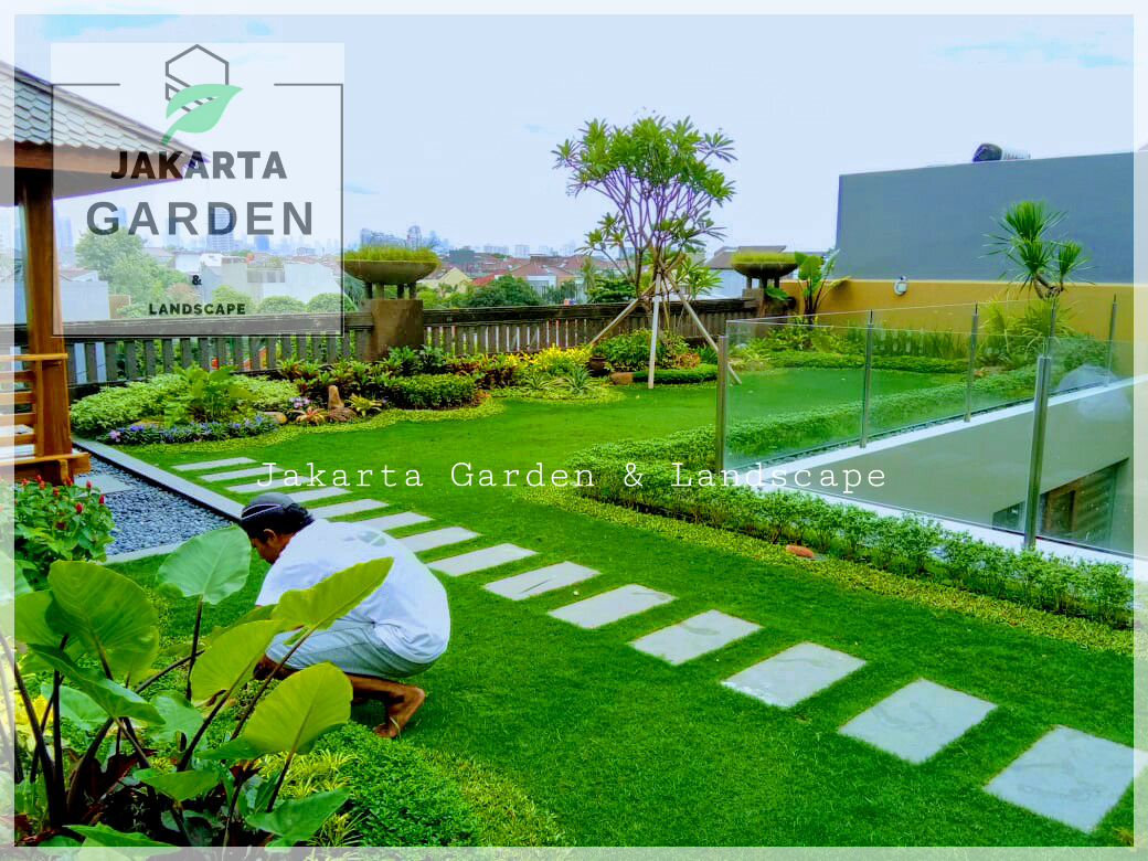 JASA PEMBUATAN TAMAN ATAP ( ROOF GARDEN ) ~ 🍃Jakarta Garden & Landscape