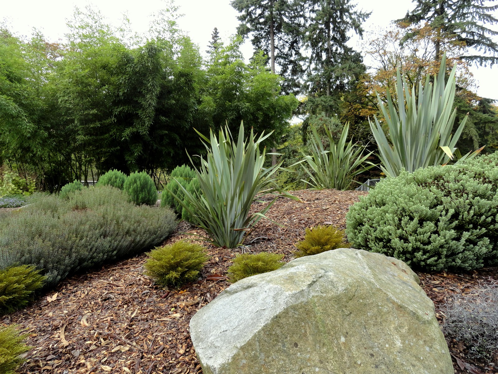 Landscape Rock Seattle | How To Grade Landscape