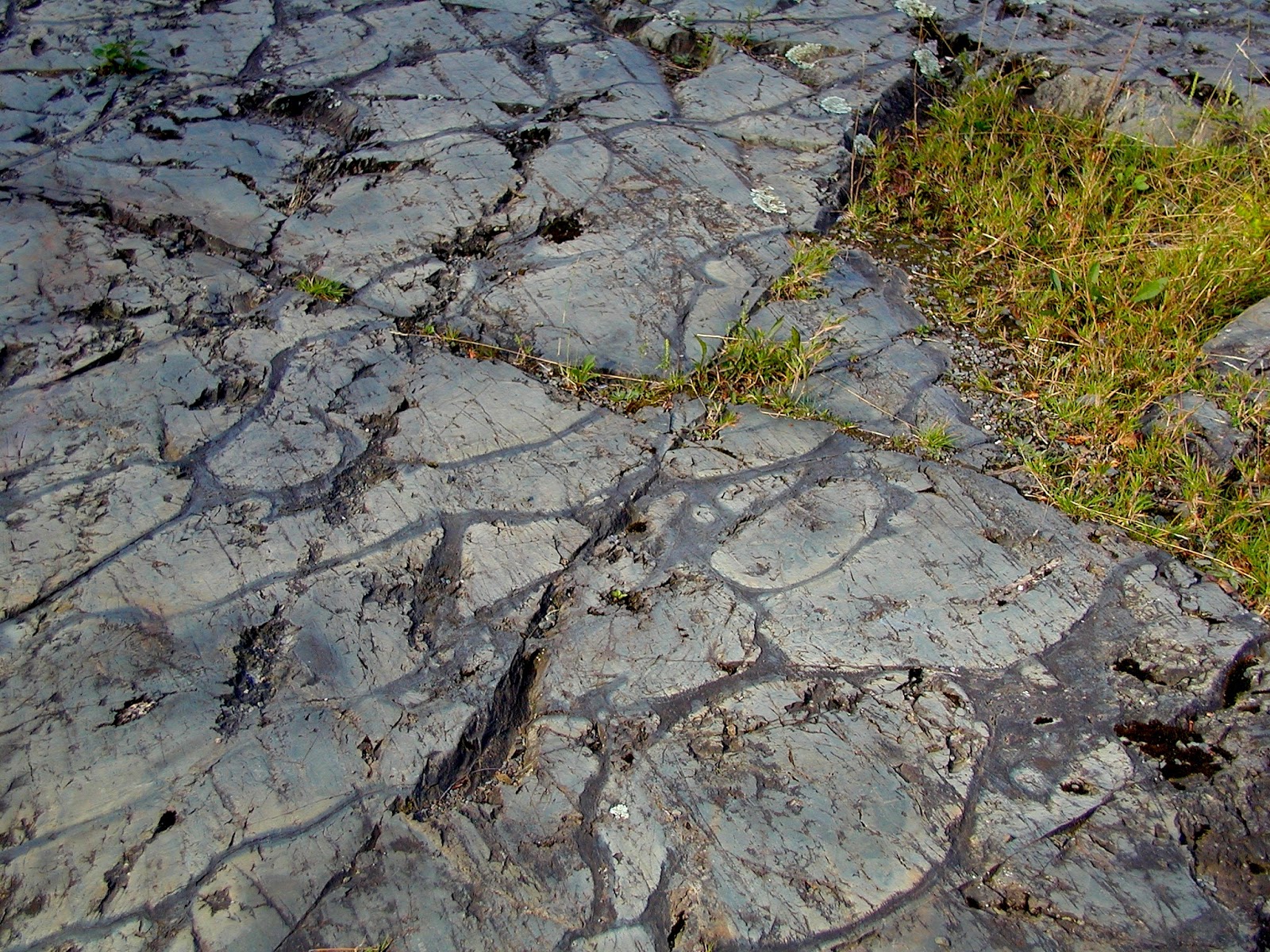 earthscienceguy: Minnesota Geology Monday - Pillowed Greenstone