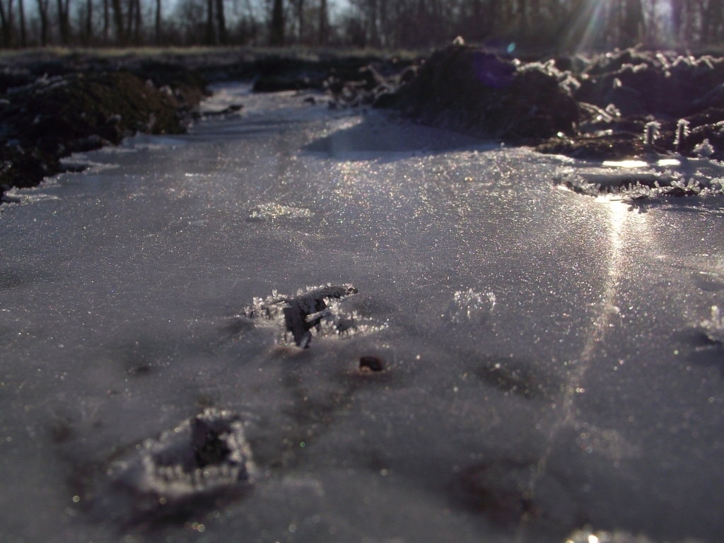 The Halo Vault: Surface Halo Arcs on Icy Puddle