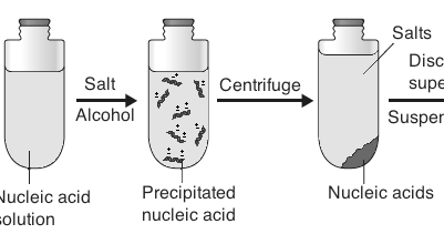 Bio-Resource: Ethanol Precipitation of DNA - Principle and Methods