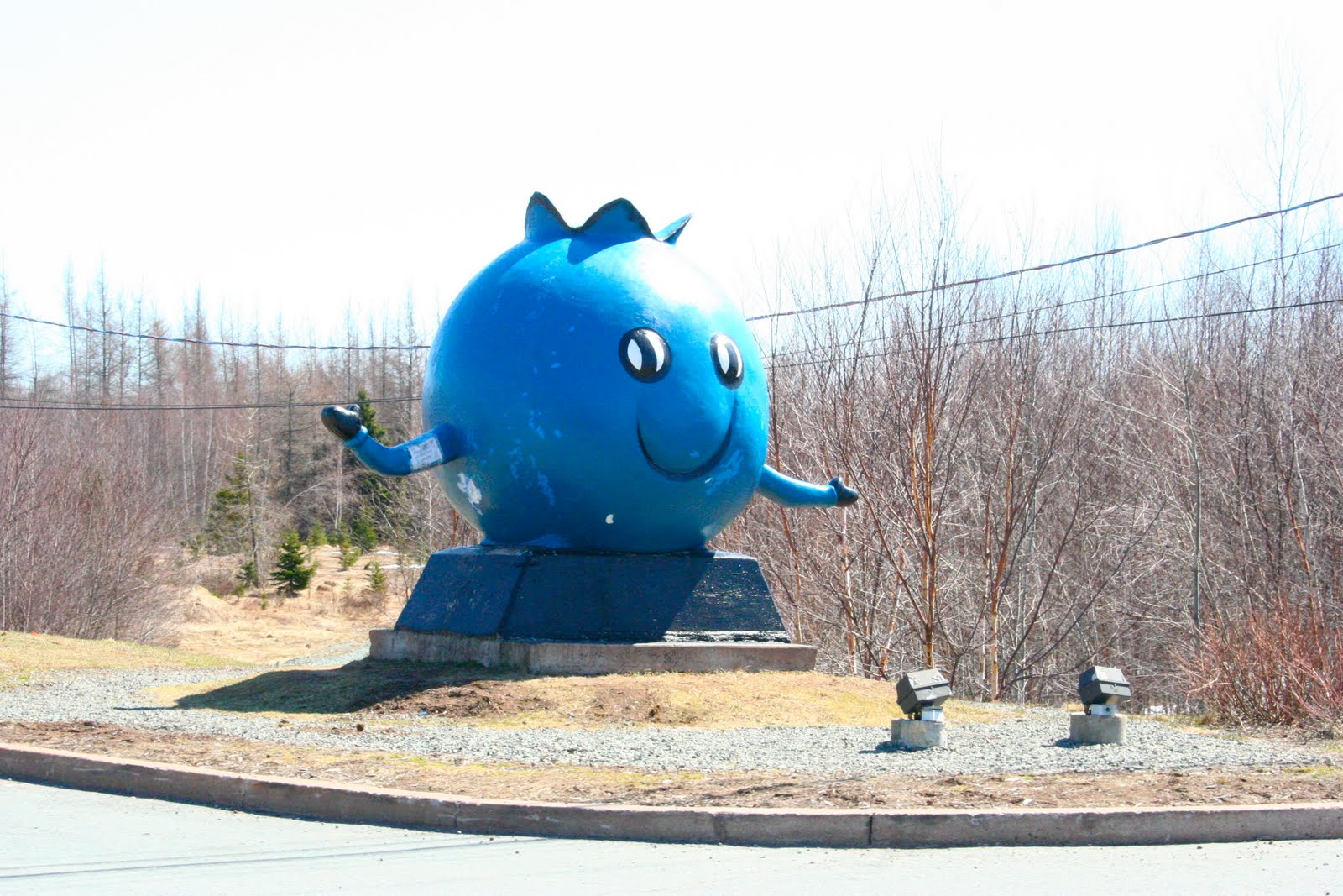 My Igloo Life 5 Weird Things In Nova Scotia