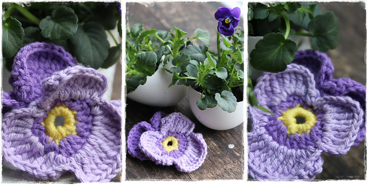 Mrshooked: Viooltjes