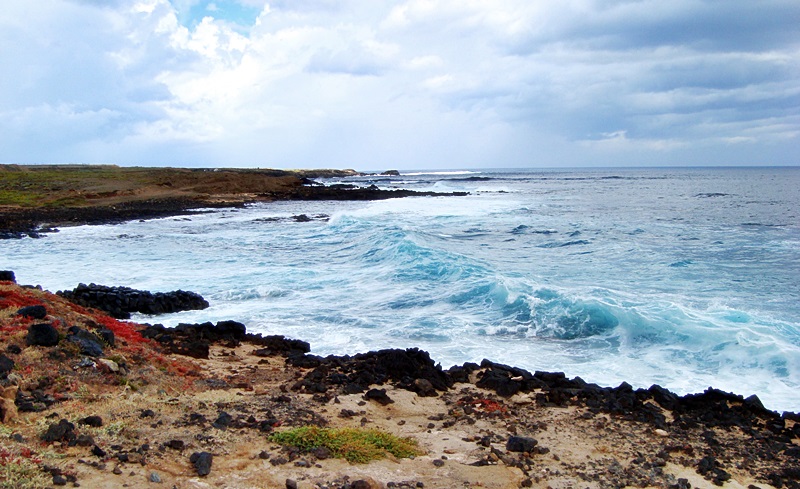 APRENDER A PROGRAMAR CON PYTHON: T4. BLOQUE DE EJERCICIOS 8. SOLUCIONES.