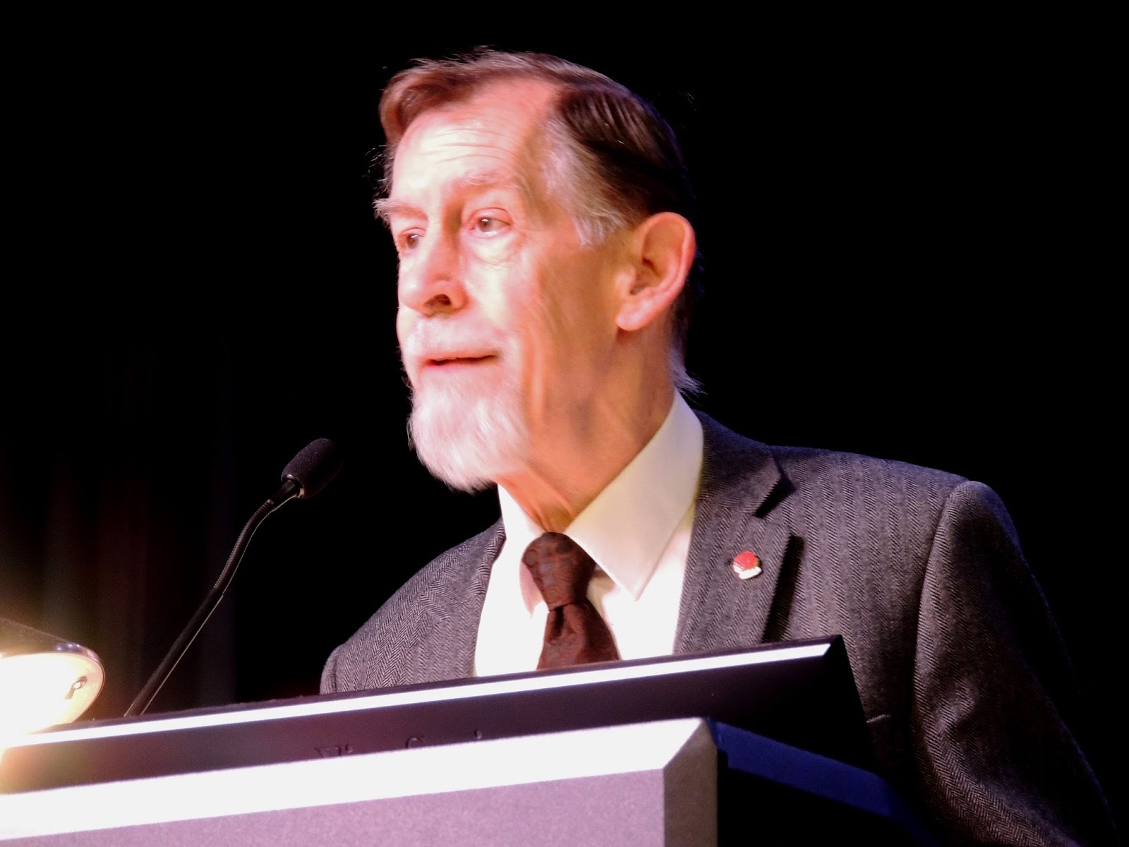 FFanzeen: Rock'n'Roll Attitude With Integrity: 2017