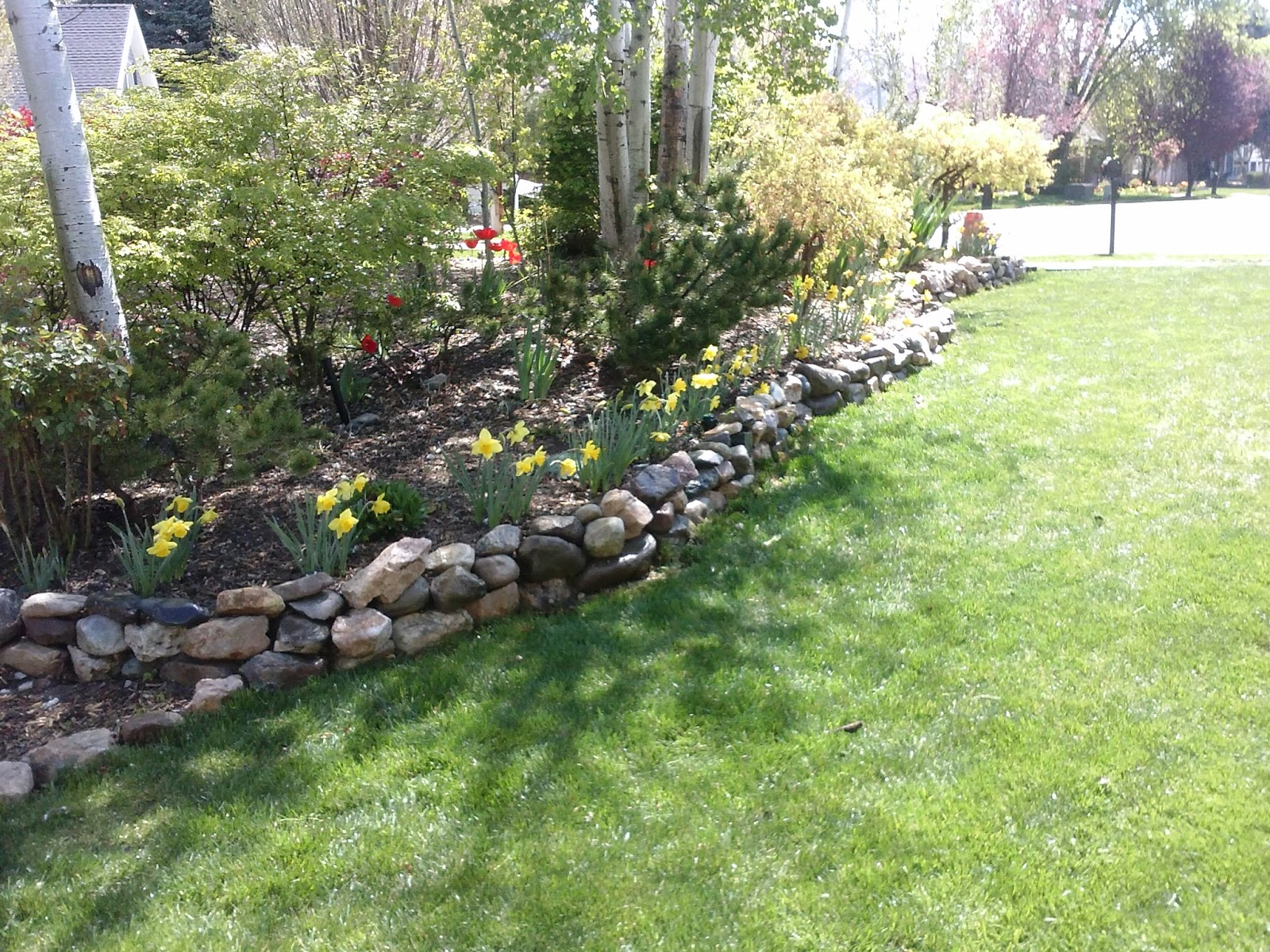 Frankly Creative: Easy rock wall transforms front yard for pennies