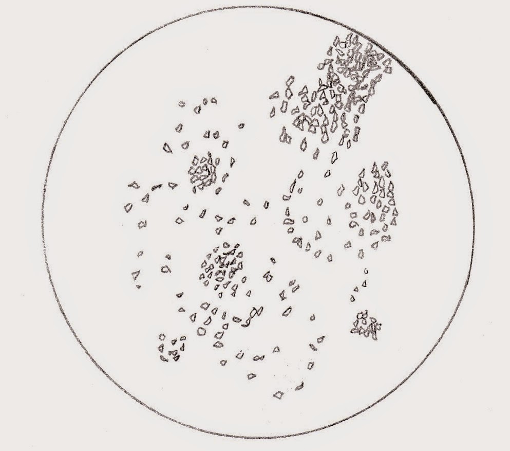 physicochem_is_fun: Practical 3 (PART B) : MICROSCOPIC ANALYSIS OF ...