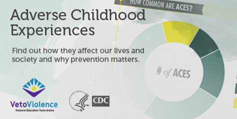 Mitchell School Counseling: Adverse Childhood Experiences Study (ACES)