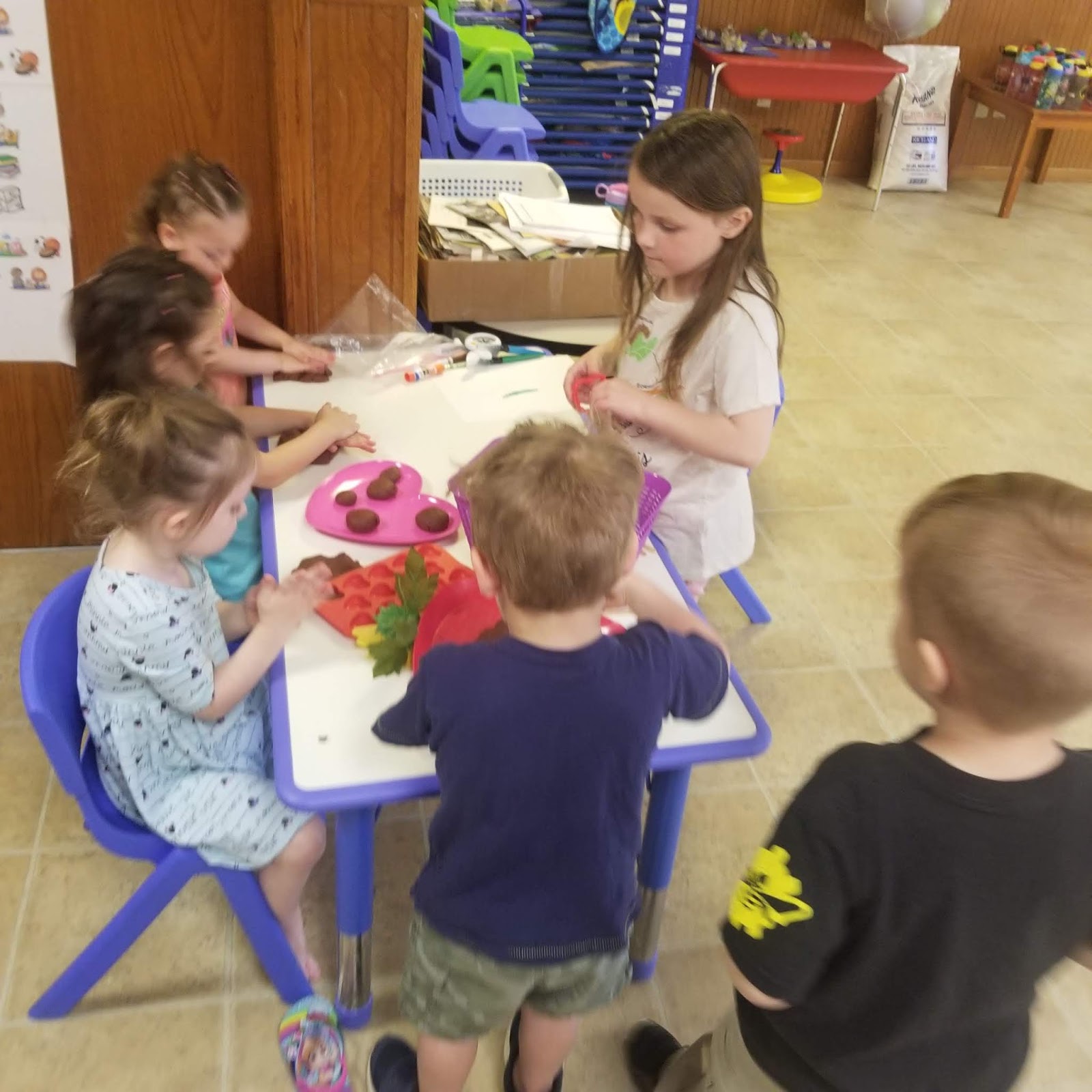 PLA Academy 2018-2019: Insects