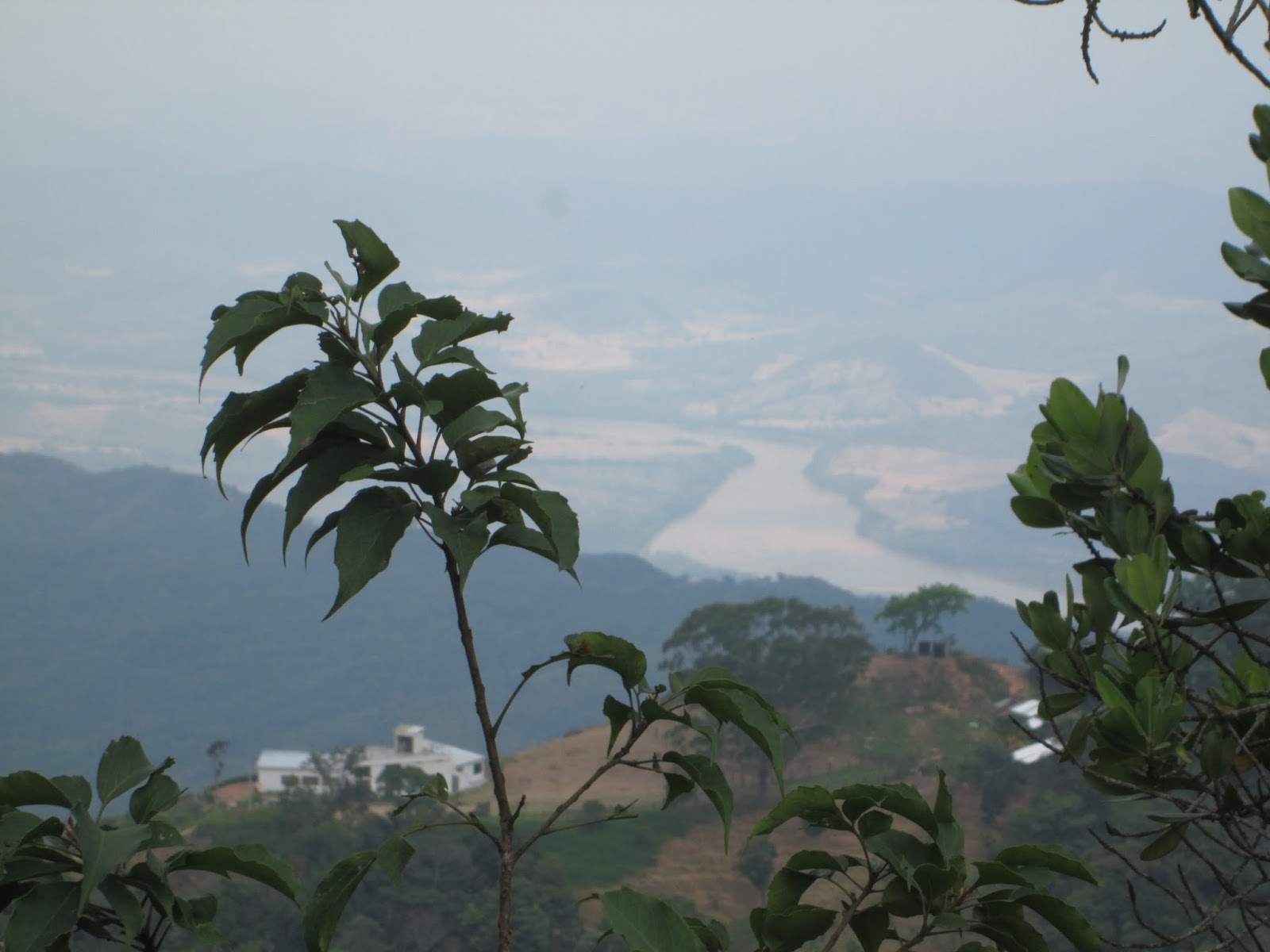 Chaguani Vive El Sentimiento: MIRADOR DEL BOQUERON