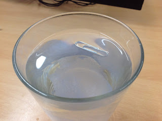 Windhill21: Science Day in Year 5