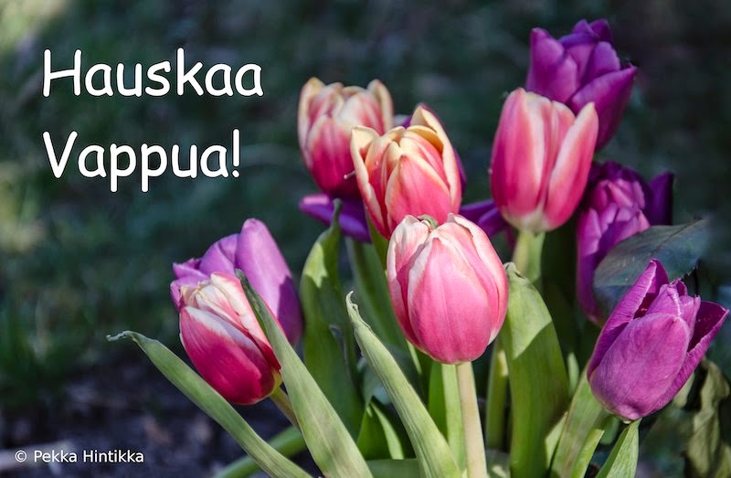 KuvaPekan KuvaKulmia: Vappu