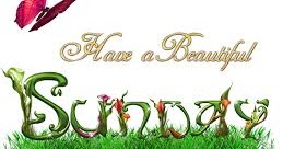 Who is Rose Dempsey?