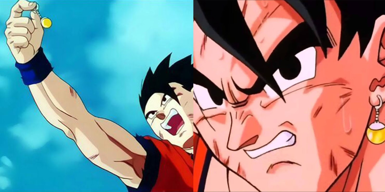 Will Goku and Gohan Try Fusion In The Tournament