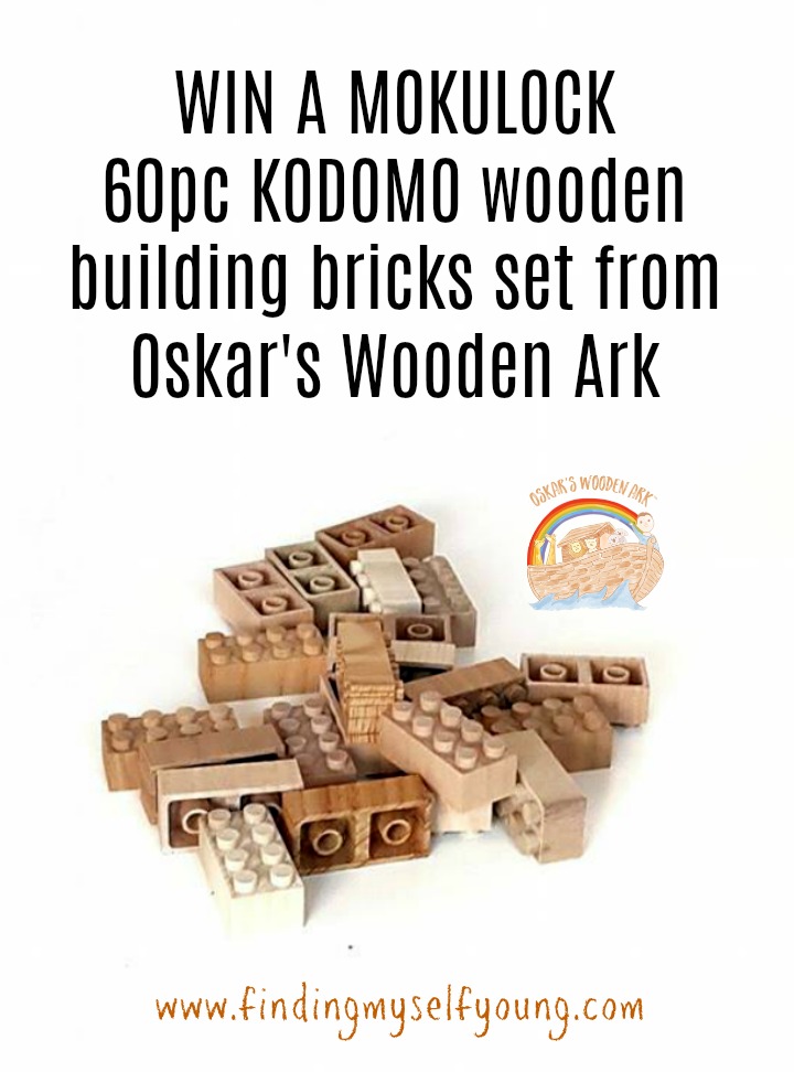 Mokulock Wooden Building Bricks: A Natural Alternative to Lego ...