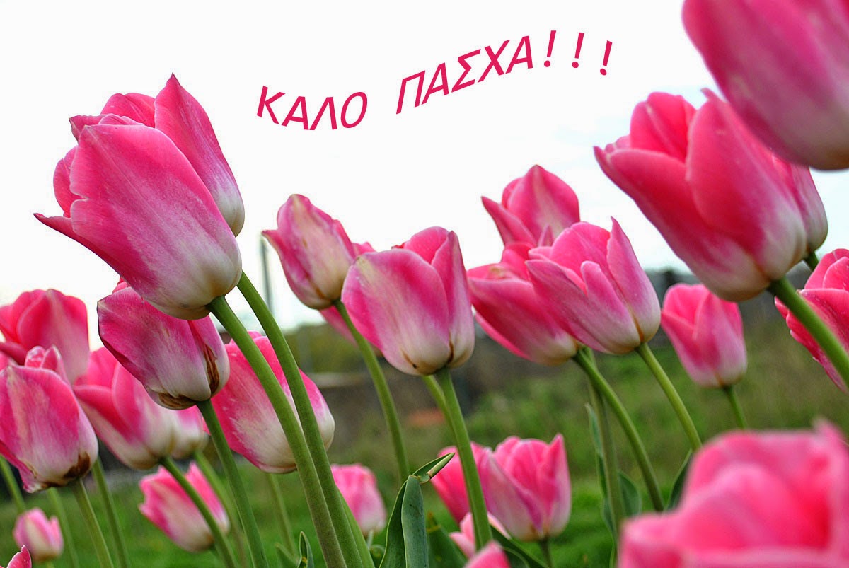 Πλέξτο μου και αυτό...: Στα ροζ...