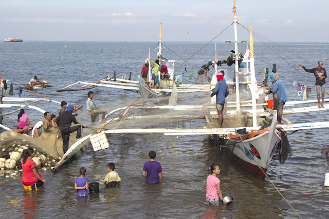 Shutter Gallop: Rosario Fish Port (Rosario, Cavite)